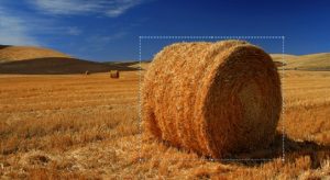 How to Use Help with Paint in Windows 10 to Make Background Transparent ...