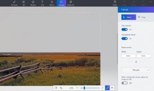 How to Use Help with Paint in Windows 10 to Make Background Transparent ...