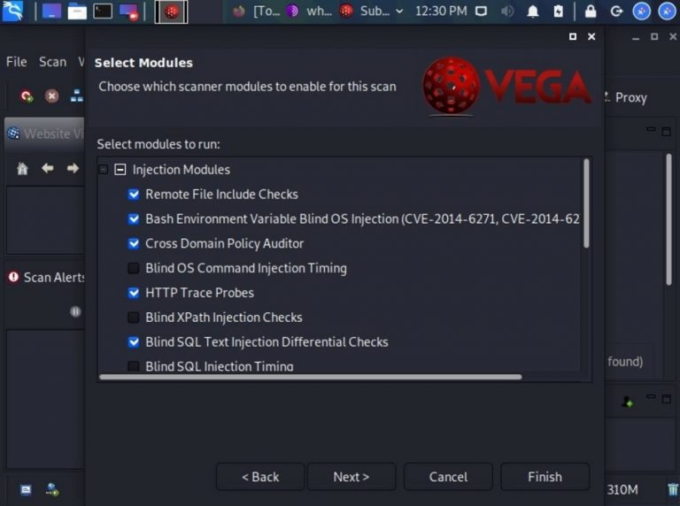 How to Scan Potential Vulnerable on Websites Using Vega in Kali Linux ...
