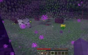 How to Make an Aether Portal in Minecraft Easily | AlfinTech Computer