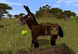 Fastest Horse Breed in Minecraft | AlfinTech Computer