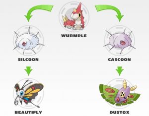What Level Does Wurmple Evolve at | AlfinTech Computer