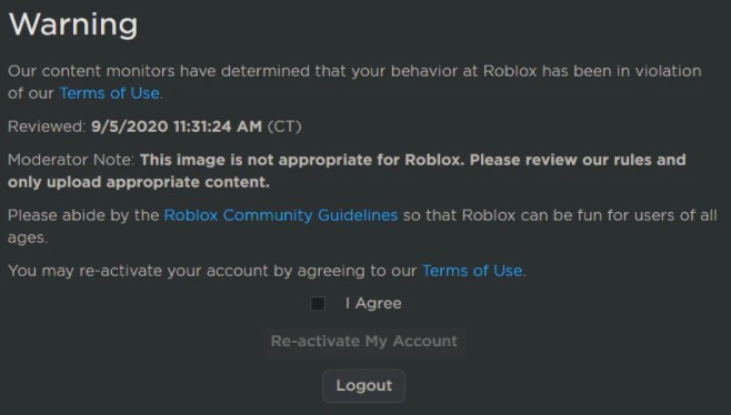 How Many Warnings on Roblox Until You Get Banned | AlfinTech Computer