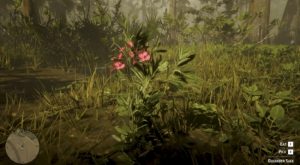 Where to Find Oleander Sage RDR2 | AlfinTech Computer