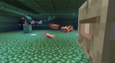 How to Feed Tropical Fish to Axolotl Minecraft | AlfinTech Computer