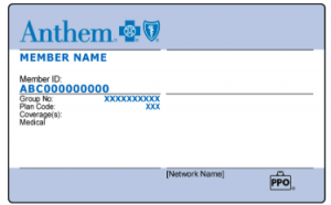 Where is the Policy Number on Anthem Insurance Card | AlfinTech Computer