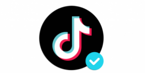 How to Make TikTok Blue Tick Icon Emoji Font Which Is Popular Right Now ...