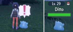 How to Get Shiny Ditto in Pokemon Scarlet & Violet | AlfinTech Computer